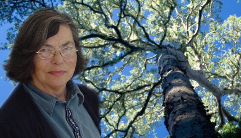 Literary Birthday – 13 October – Dalene Matthee - Writers Write